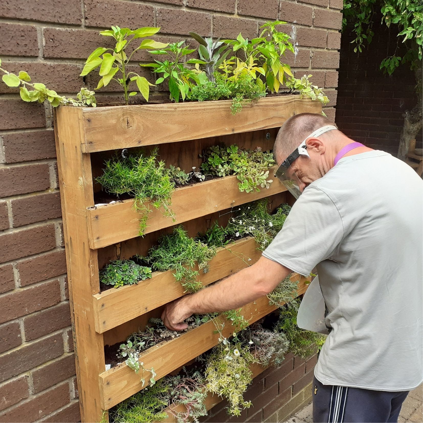 Garden projects at Workbridge National Allotments Week » Workbridge